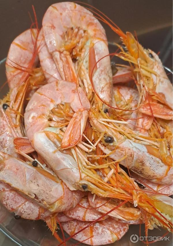 Отзыв о Свежемороженая аргентинская креветка целая Iberpesca s.a ...