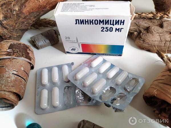 Отзыв о Лекарственный препарат Белмедпрепараты "Линкомицин ...