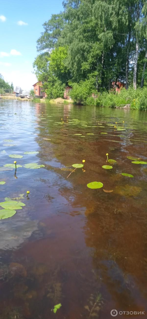 Отзыв о Водный поход по рекам Жабня и Волга к Калязину (Россия ...