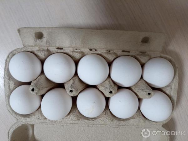 Отзыв о Яйца куриные Птицефабрика Челябинская "Три несушки ...