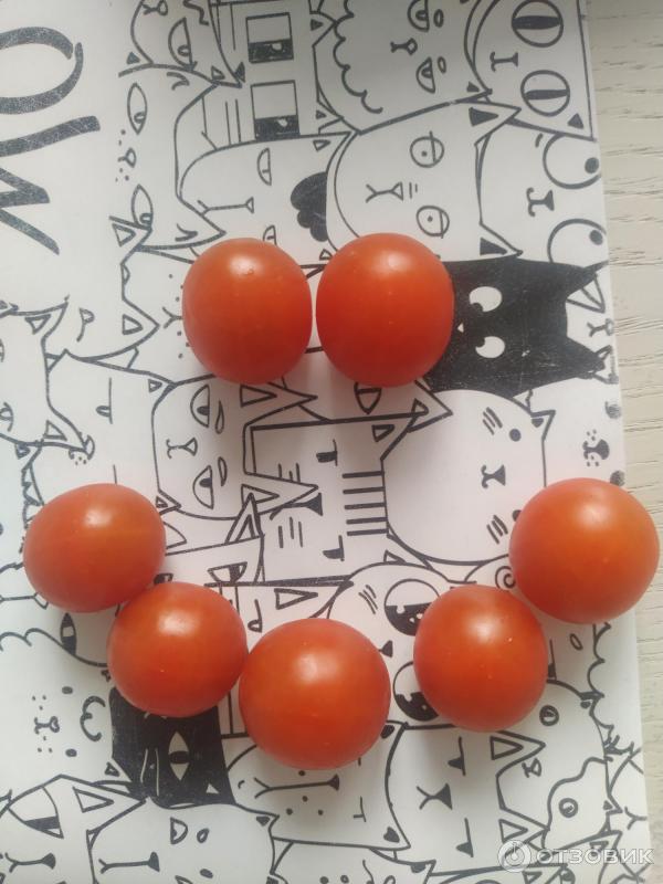 Отзыв о Томаты свежие кумато черри Эко-культура | Добротные помидоры