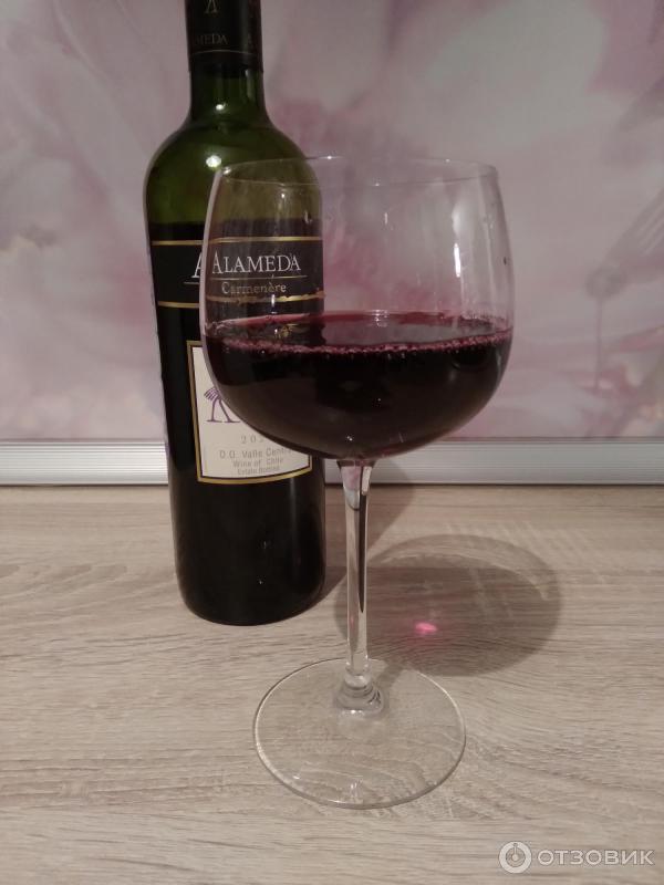 Отзыв о Вино Alameda Carmenere красное полусухое | Вино к мясу!