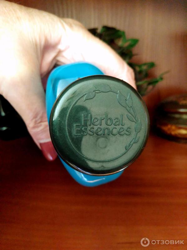 Отзыв о Шампунь Herbal Essences Марокканское аргановое масло ...