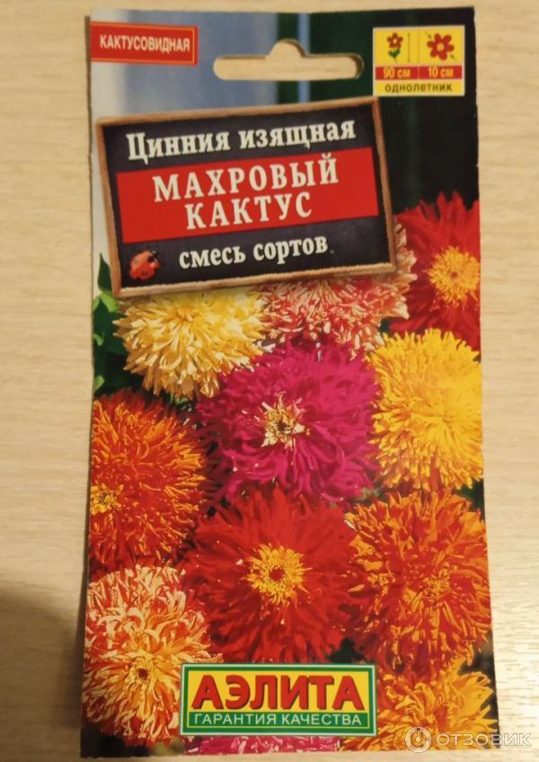 Отзыв о Семена Аэлита "Цинния изящная махровый кактус смесь сортов ...