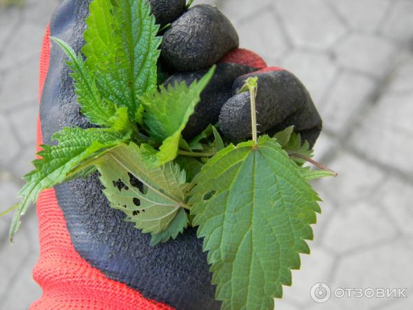 Отзыв о Перчатки защитные Sapset | Универсальные перчатки хорошего качества
