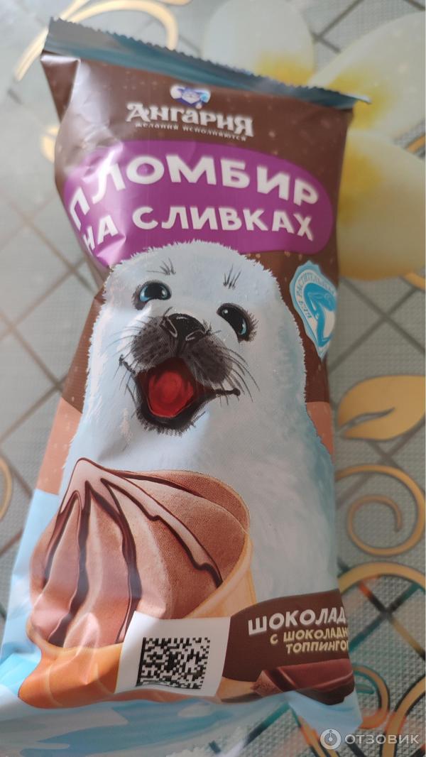 Отзыв о Пломбир на сливках Ангария шоколадное с шоколадным топингом ...
