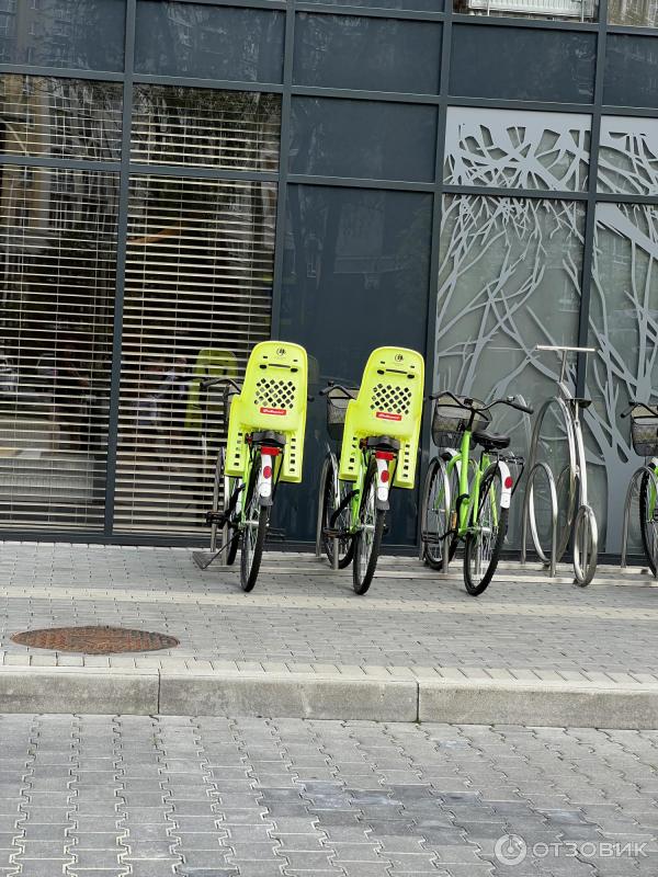 Отзыв о Отель GreenDorf Hotel & Spa 4* (Россия, Зеленоградск ...