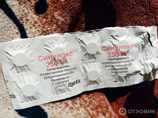 Отзыв о Синулокс Zoetis | Лечение цистита от Esсherichia coli ...