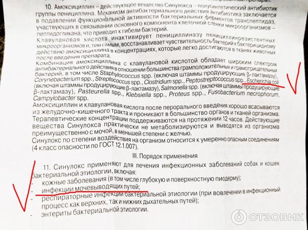Отзыв о Синулокс Zoetis | Лечение цистита от Esсherichia coli ...