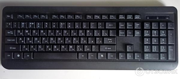 Отзыв о Беспроводная клавиатура DEXP KW-904BU | Обычная клавиатура.