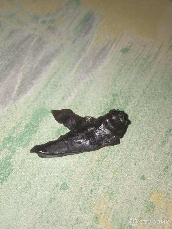 Отзыв о Адвент календарь лакомства для кошек Мнямс | а зачем равняться ...