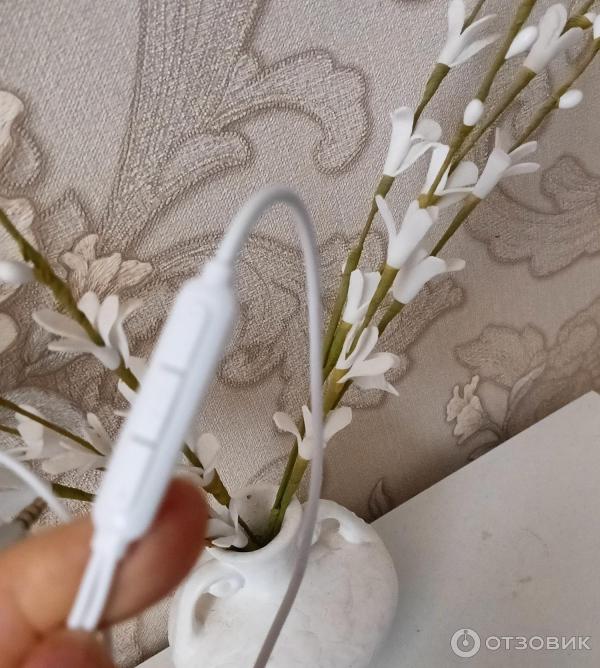 Отзыв о Наушники Hoco | Очень неплохие.